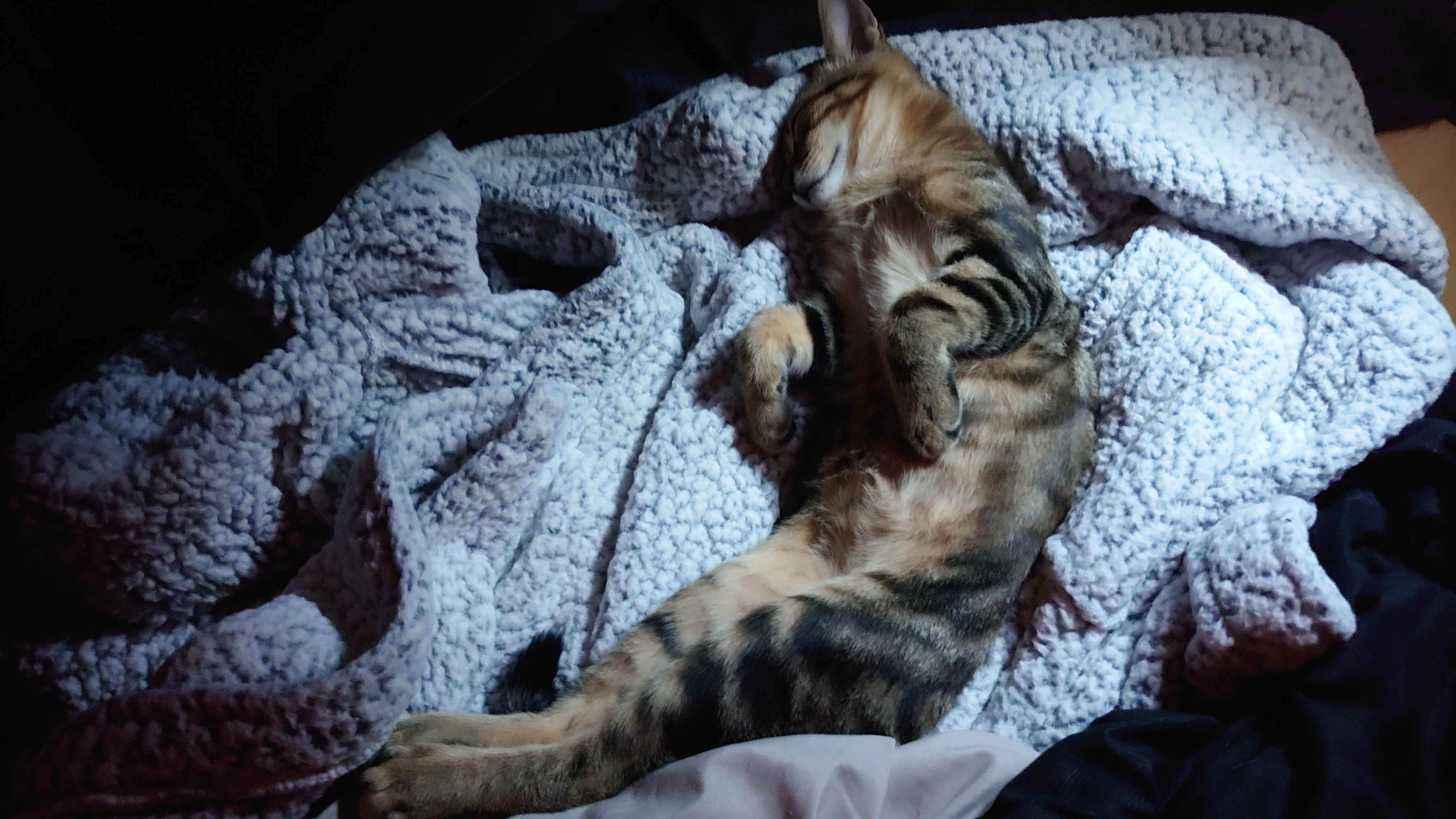 You said the guy from avengers - Sons Of | The Forest