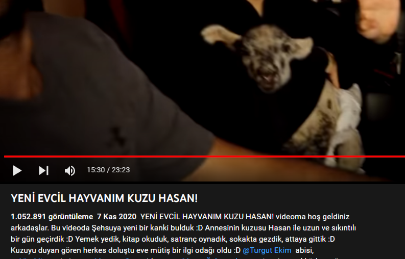 Random sözler atma komutu V14 - CodAre Development