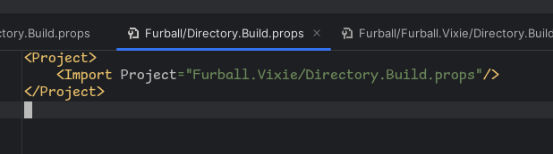 cus like i can do this with Directory.Build.Props - Silk.NET