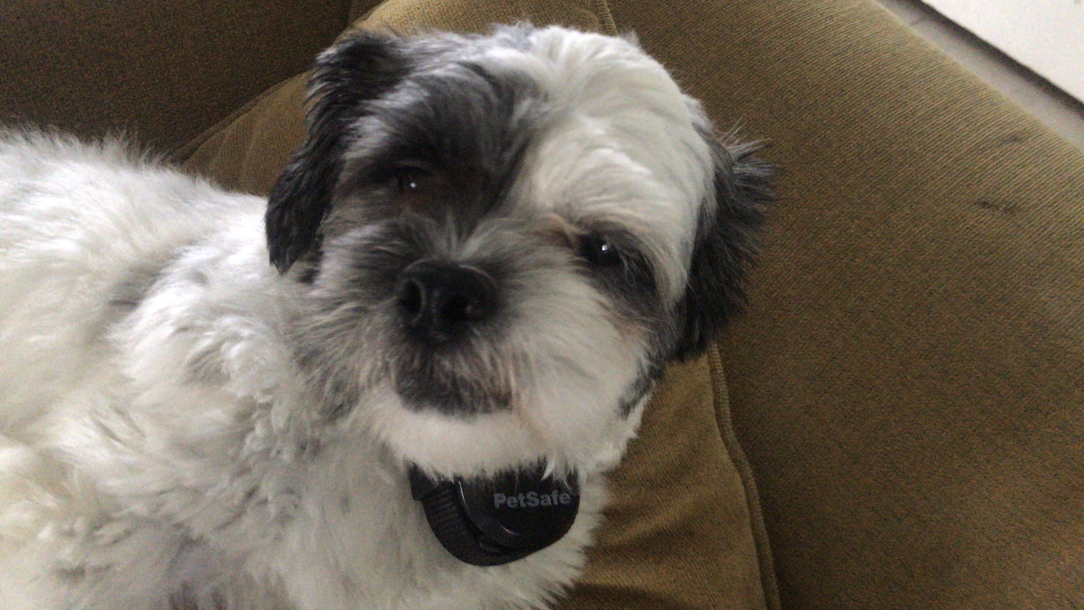 at least base your assumption off of me alone - Sons Of | The Forest