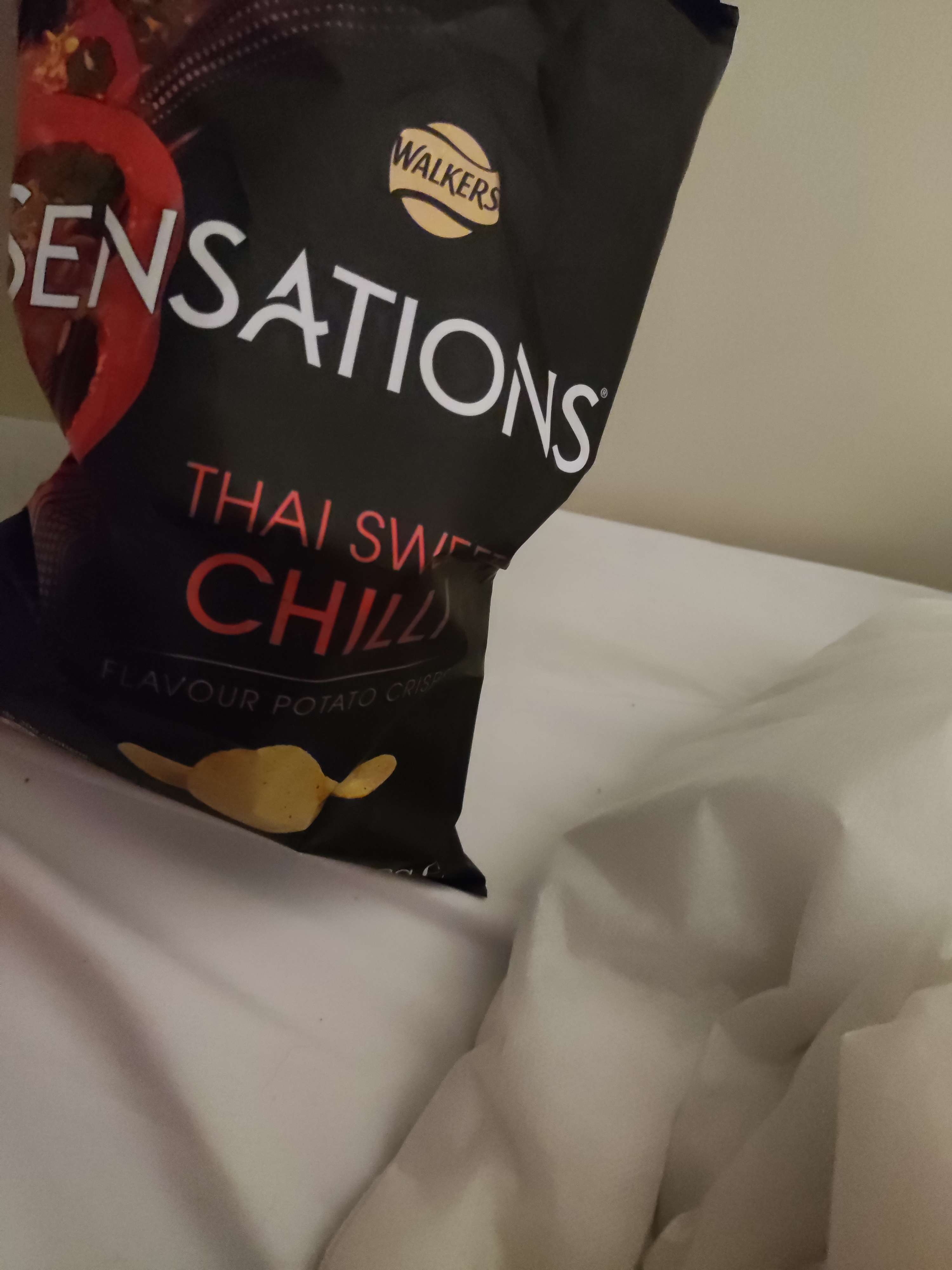 Timmy :Cat: - Sons Of | The Forest