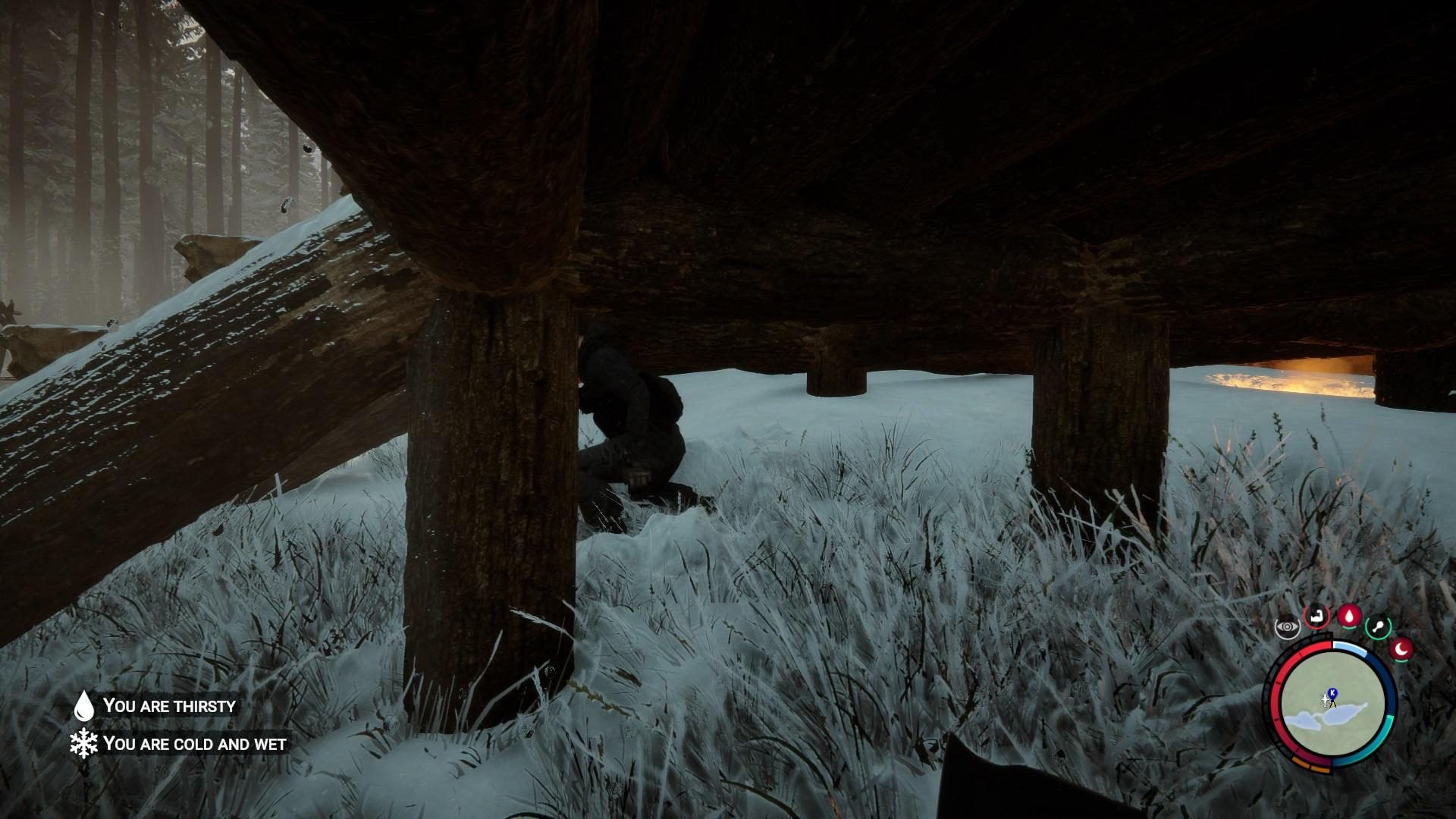 thx bro ı hope ı can play well - Sons Of | The Forest