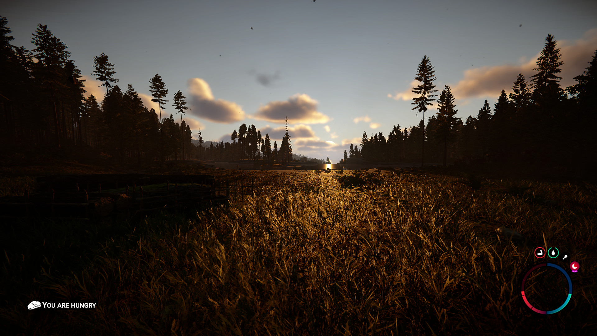 bone trap right outside my base, cant remove it - Sons Of | The Forest