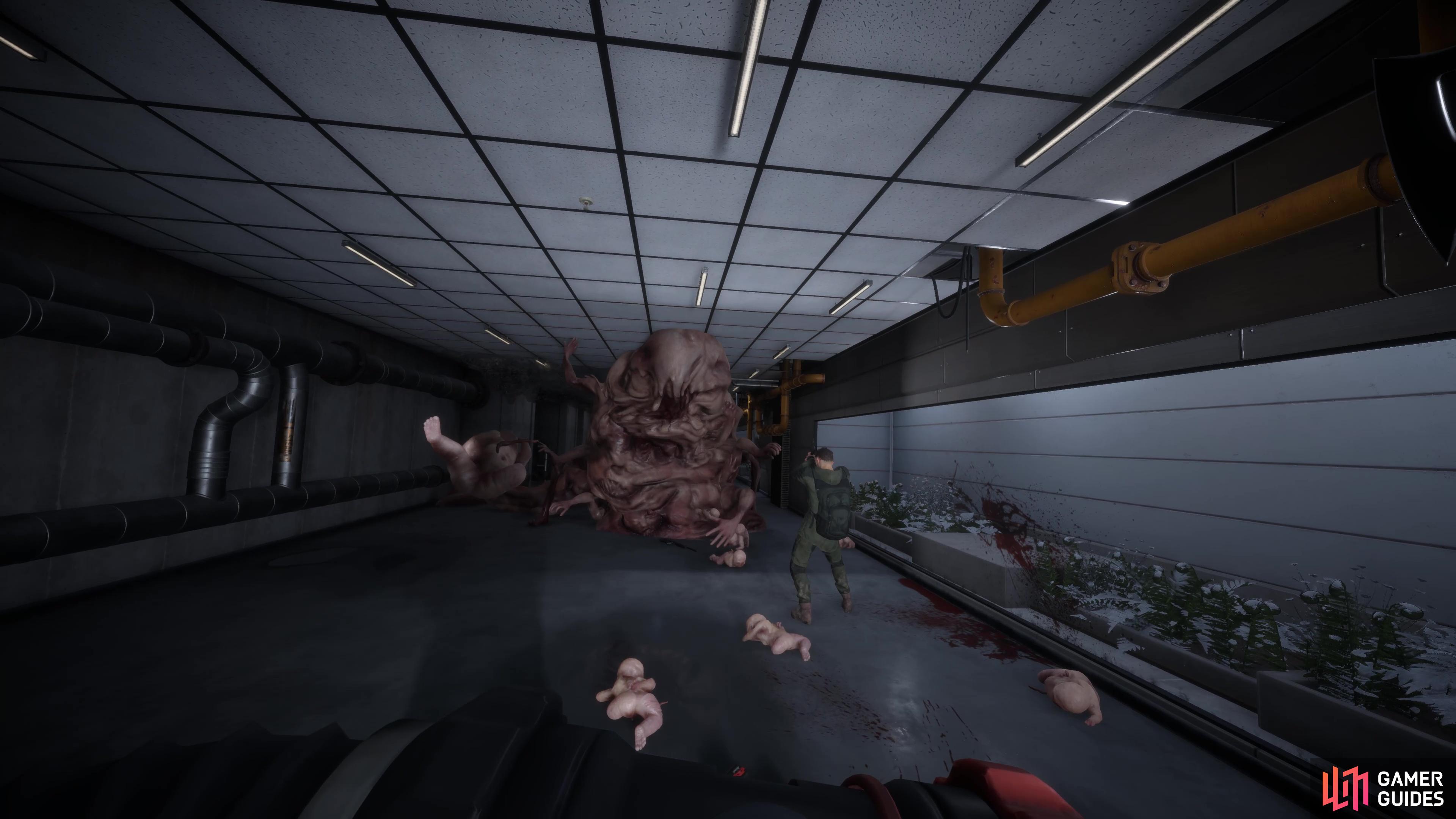 Cat food supply is high - Sons Of | The Forest