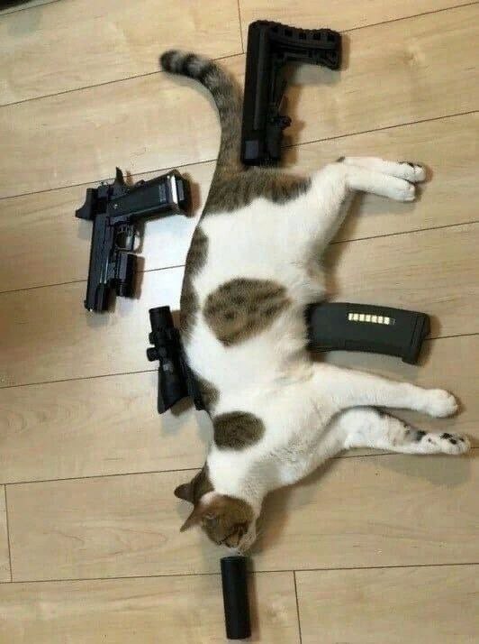 its ur armor bar - Sons Of | The Forest