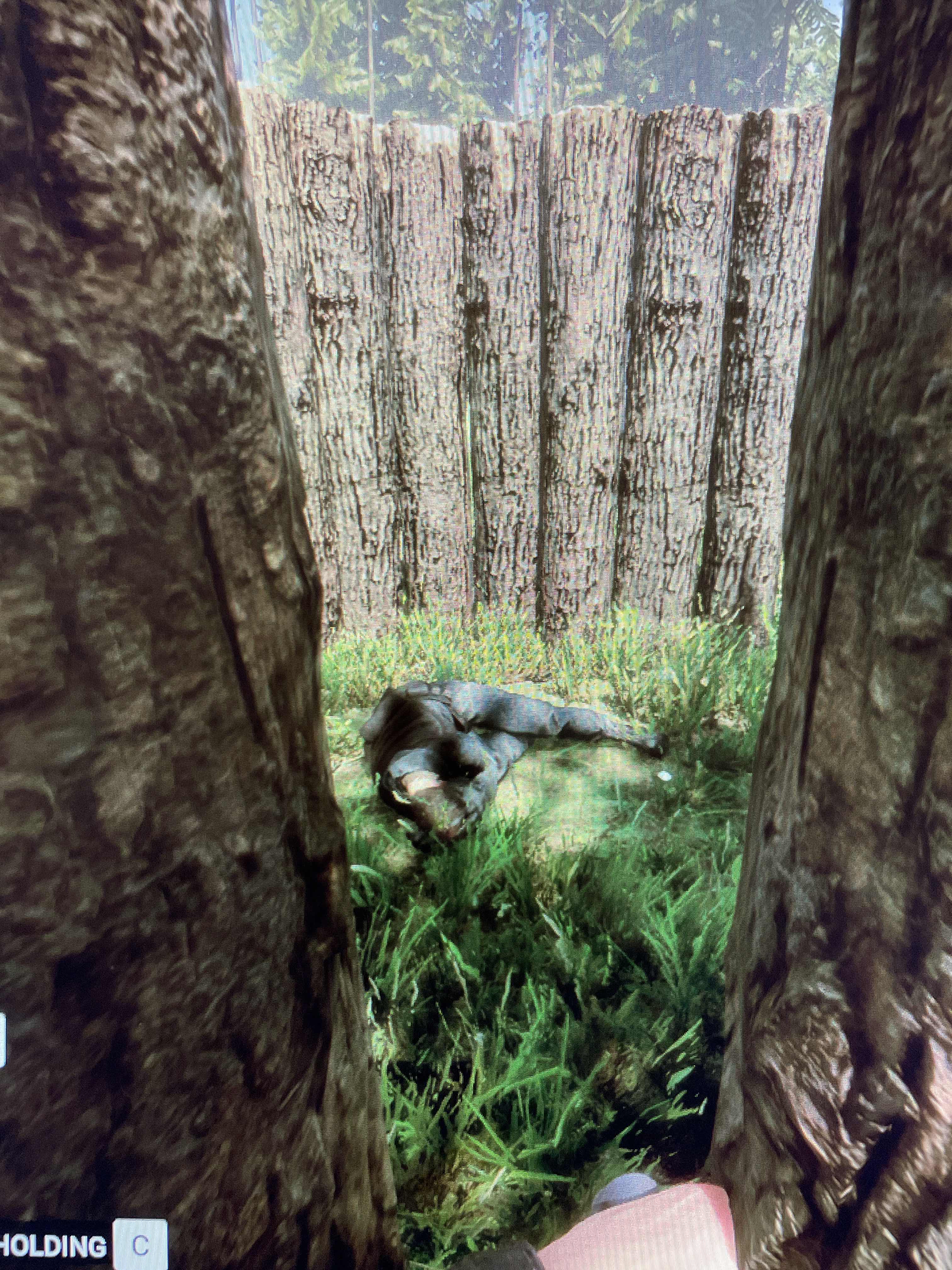 No just a normal dressed female one - Sons Of | The Forest