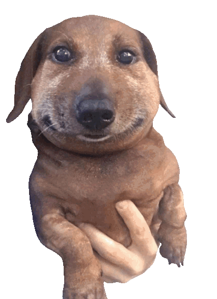 Twas a jumpscare - Sons Of | The Forest