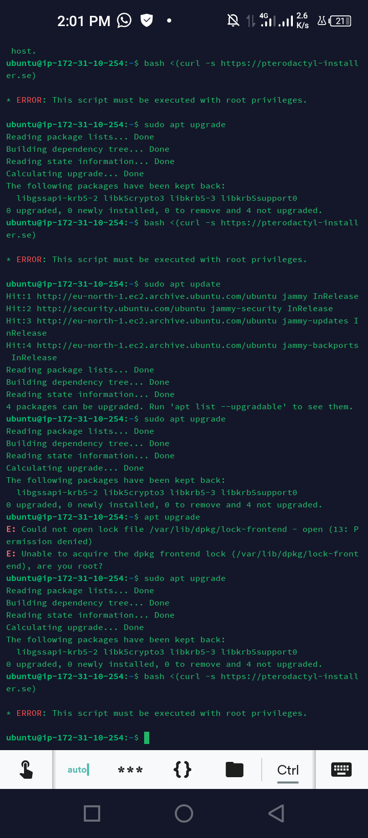 How, it script need root? How to? - Pterodactyl Installation Script