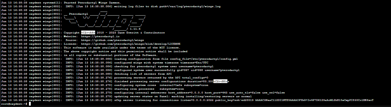 those are my node settings - Pterodactyl Installation Script