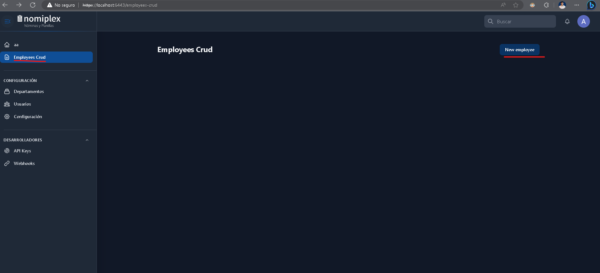 Form within a custom page - Filament