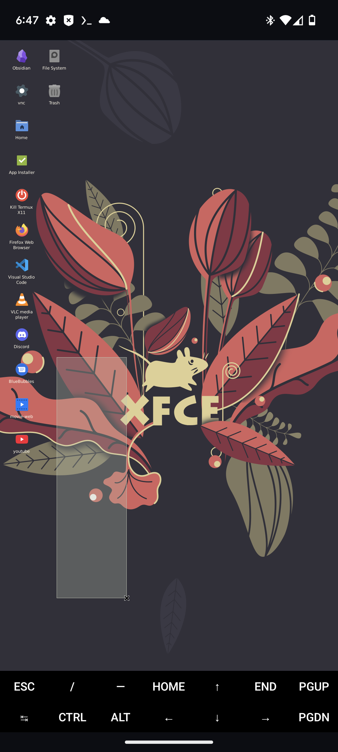 I'm a Google pixel 6 with a Google tensor chip - Andronix App
