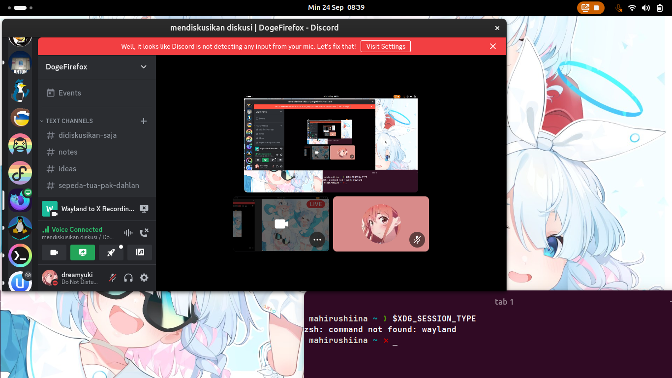 spicy - Universal Blue