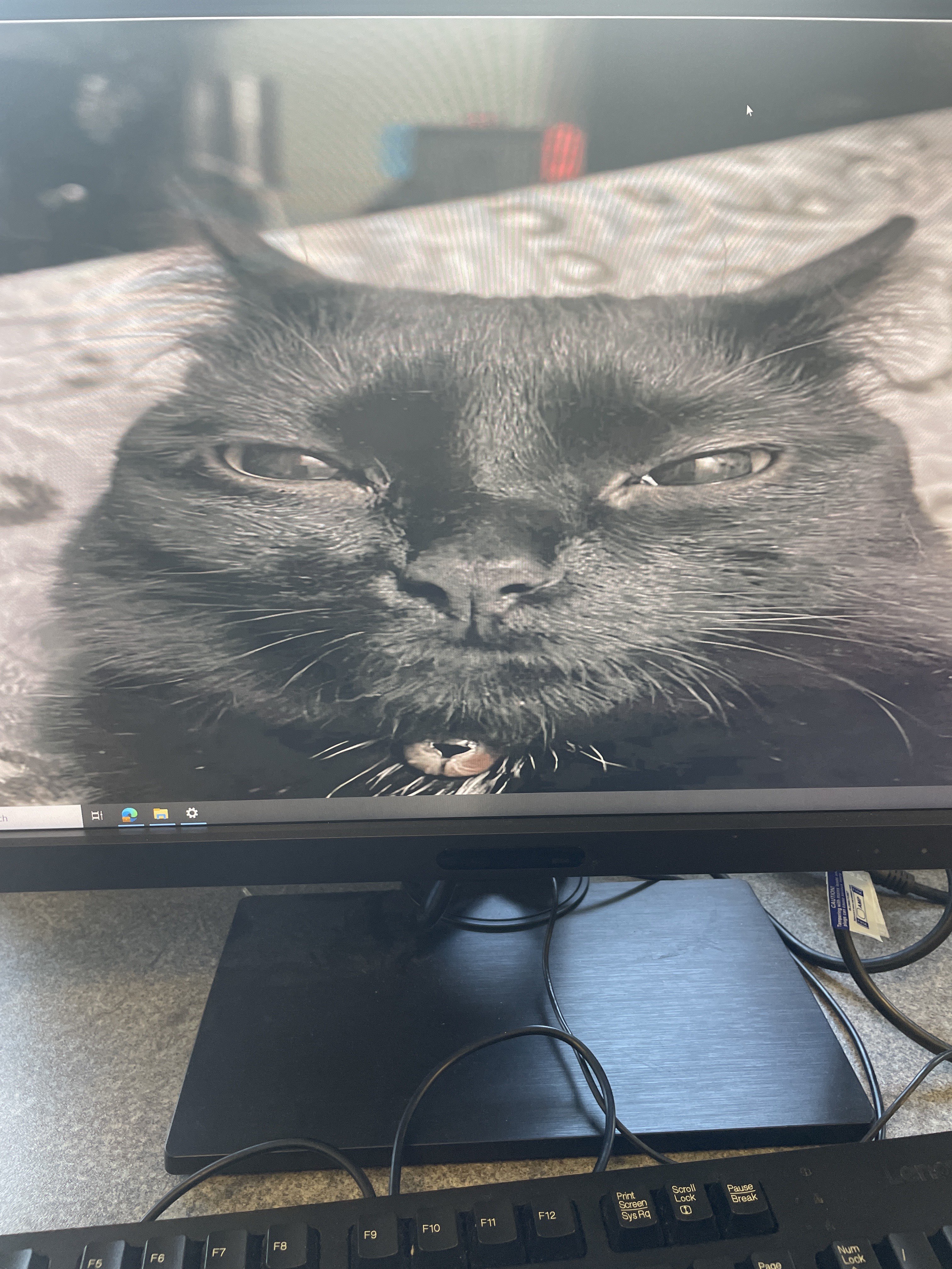 Epic rap battles - Sons Of | The Forest