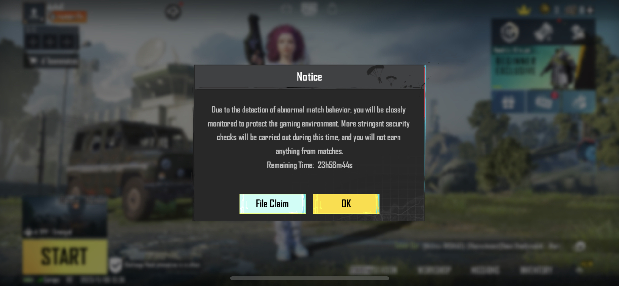 You may provide your PUBG MOBILE User Identification Number for this ...