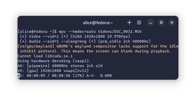 Hw Decode Works With Mpv Inside A Container Idk If Its Just Encode Thats Not Working