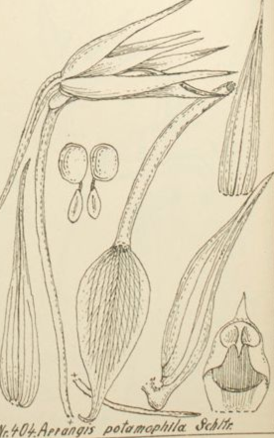 best food - 🚨 R74n / Sandboxels