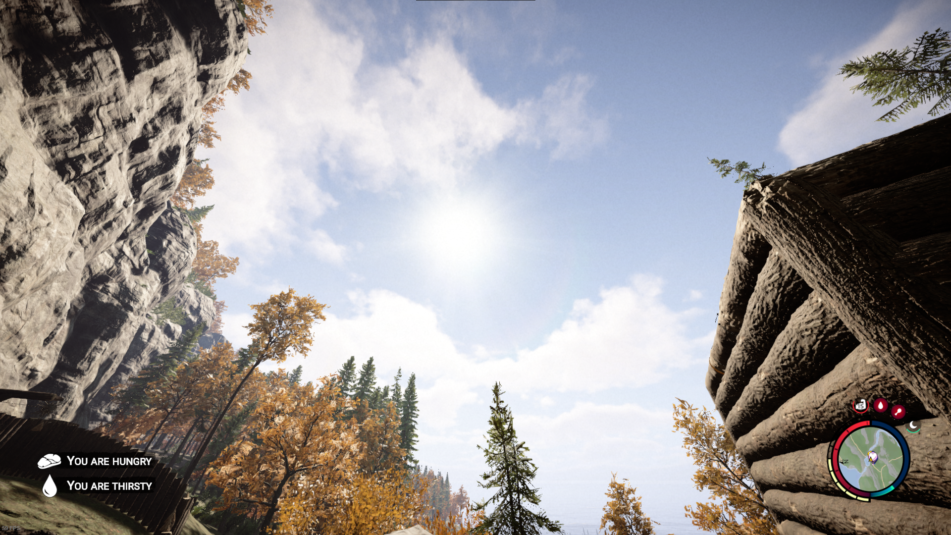 radio coming in clutch :NM_peepoJam: - Sons Of | The Forest