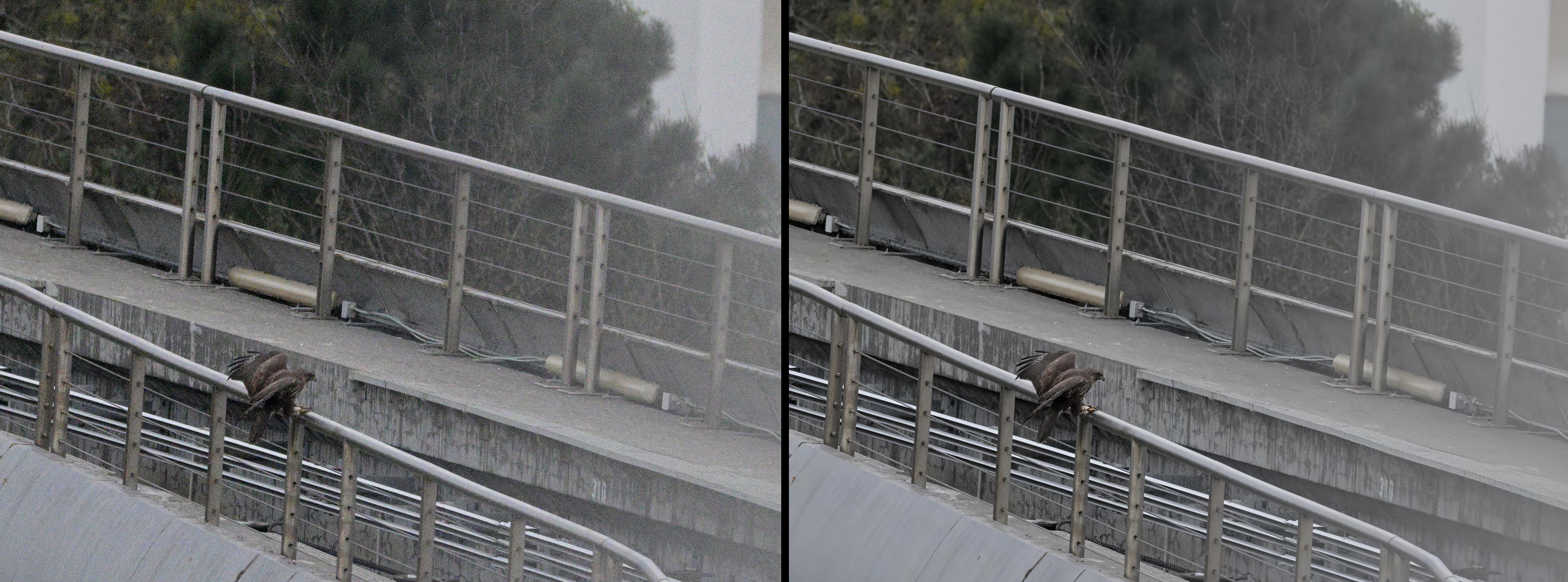 in supir - Software Engineering Courses (SECourses)