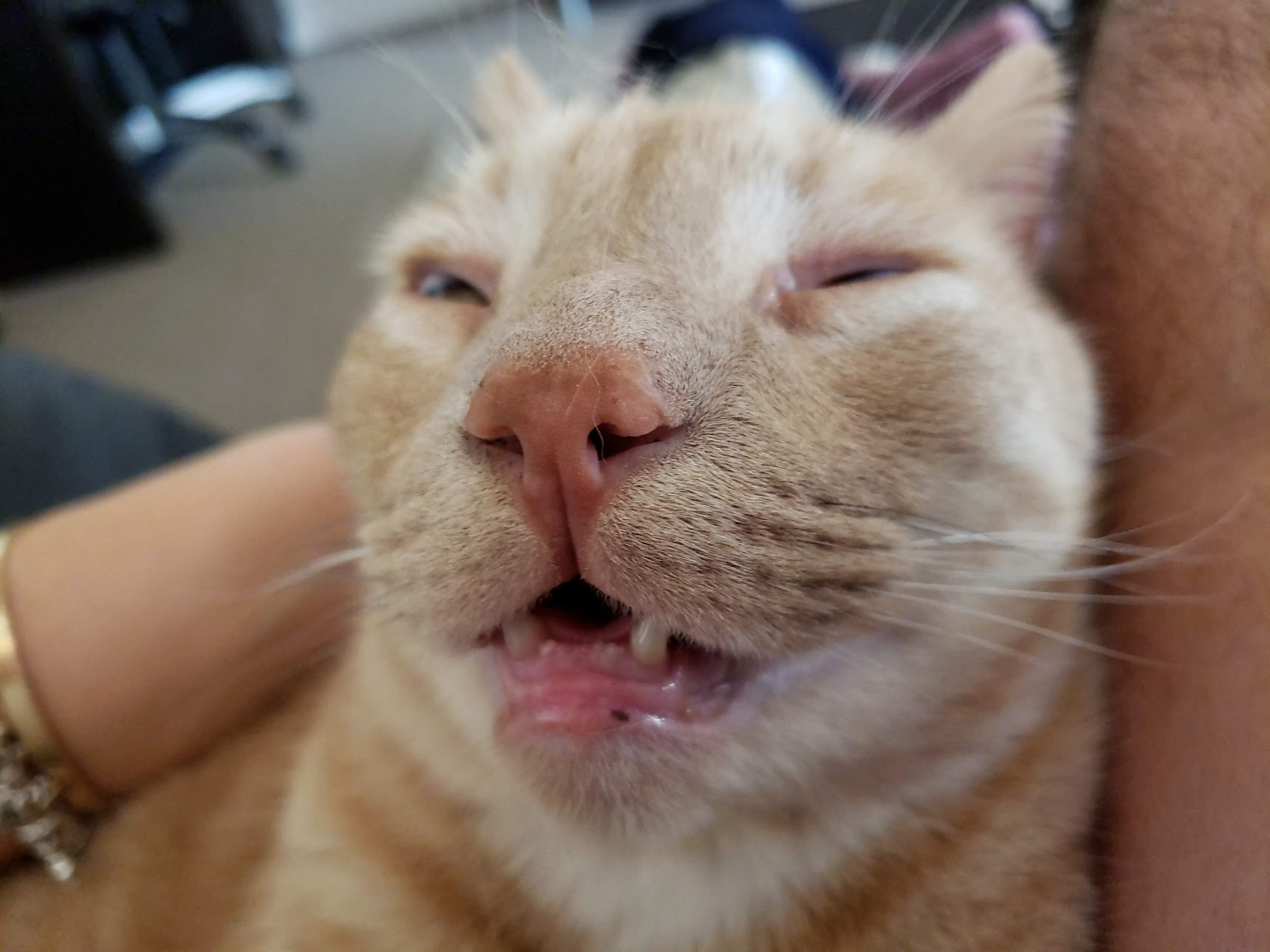 any idea how to recover from a failed firmware update? - Universal Blue