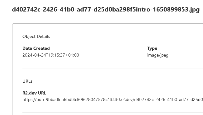 This ``pub-xxx.r2.dev``url - Cloudflare Developers