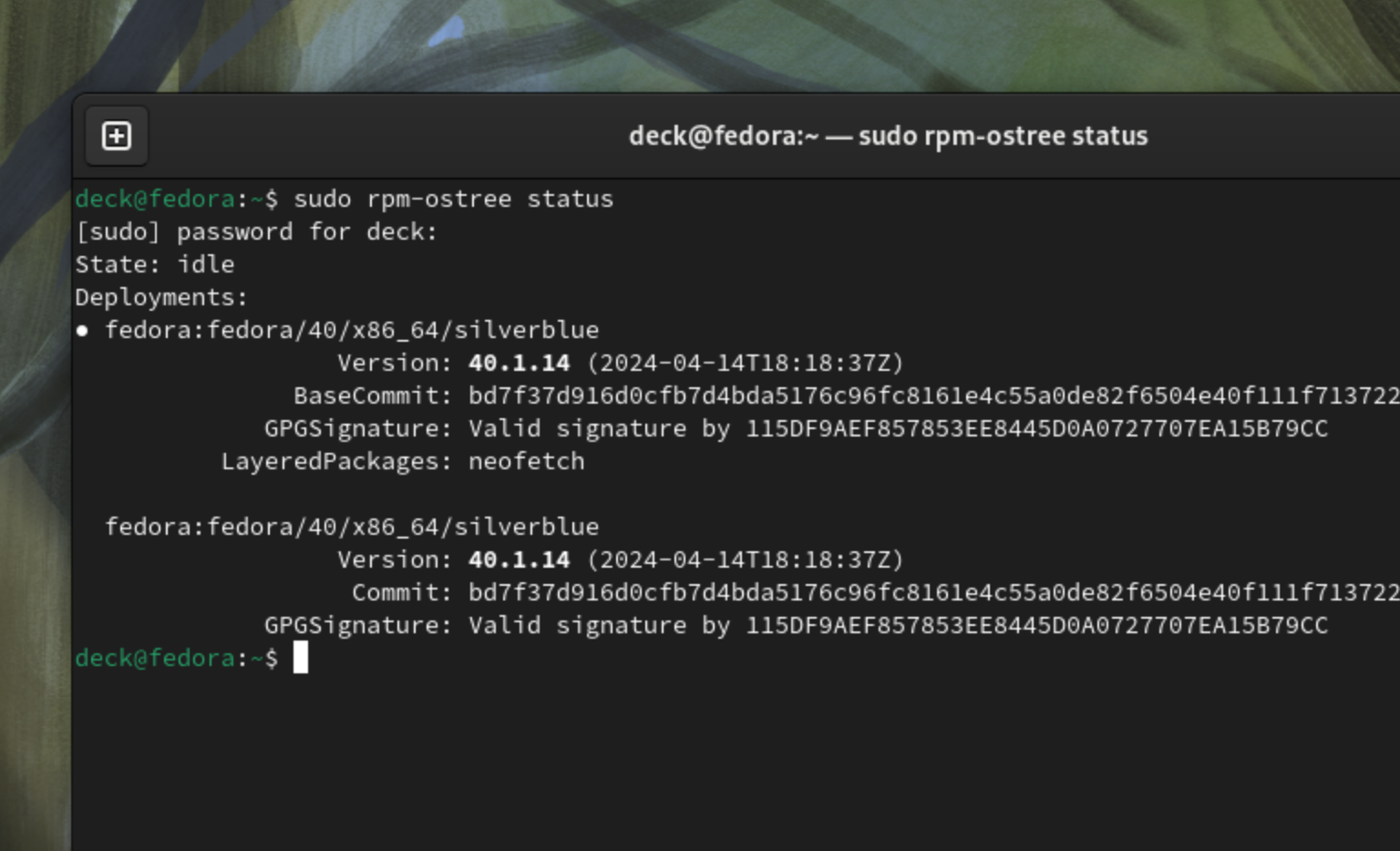 bazzite automounts only btrfs by default - Universal Blue