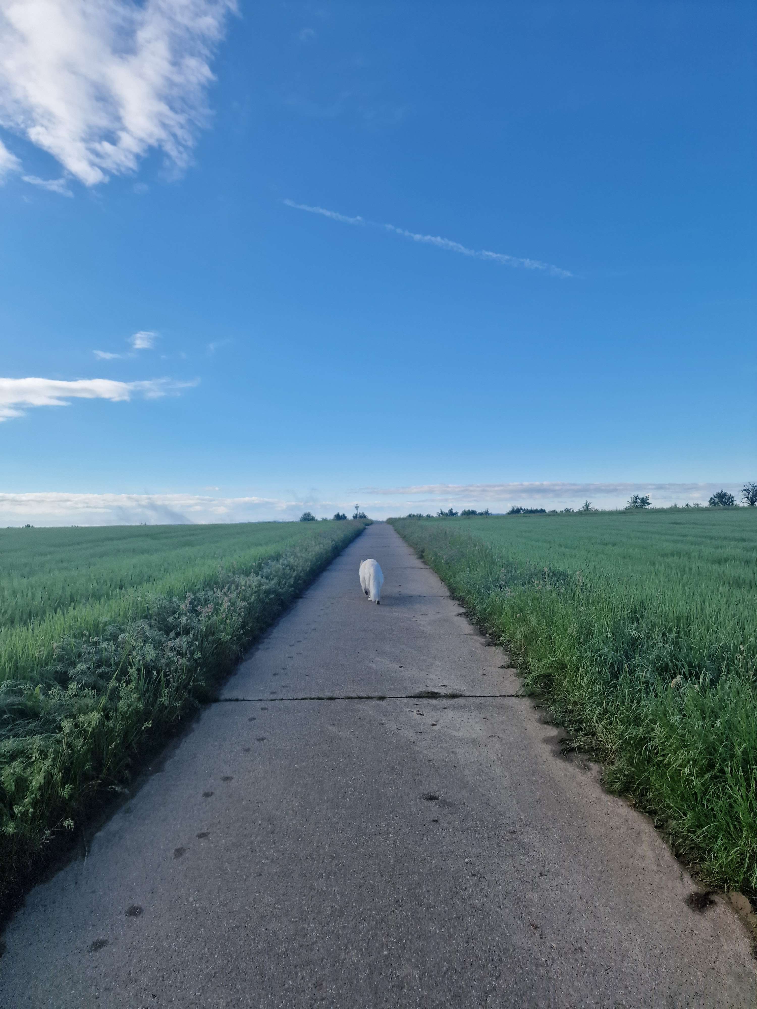 Ok, jetzt bin ich bestimmt weltberühmt. :ugly: - NERDSWERK