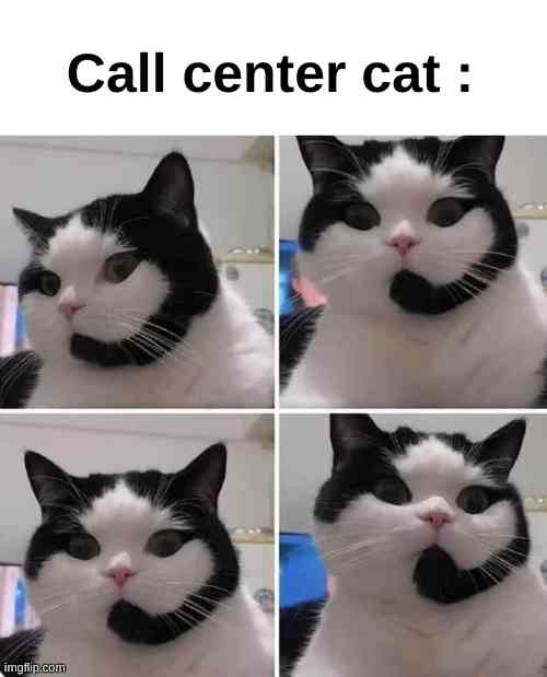 All they have to do is post that on X and all will be forgiven ...