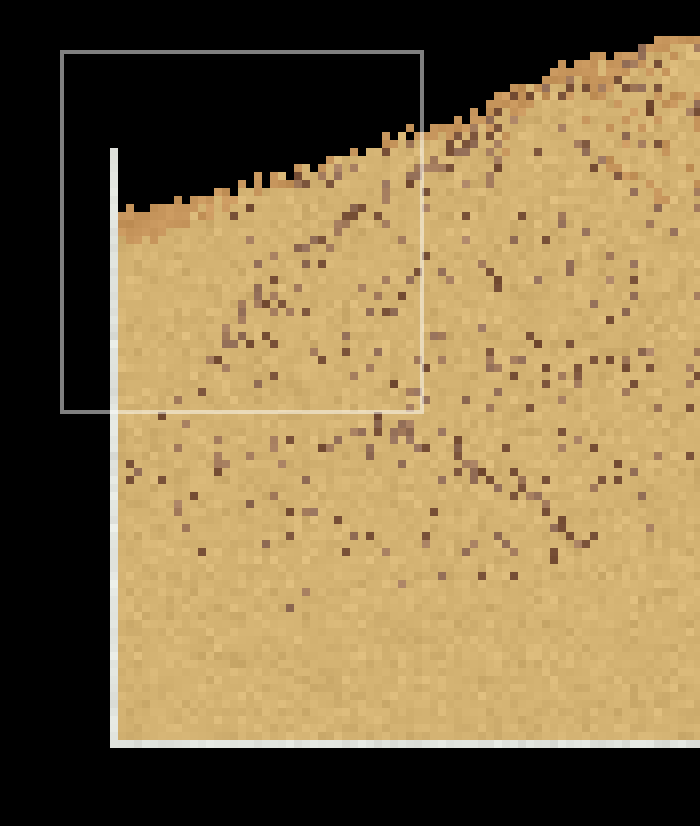 this soup is 100% cooked with Tree's In-Hosue Pressure Cooking System ...