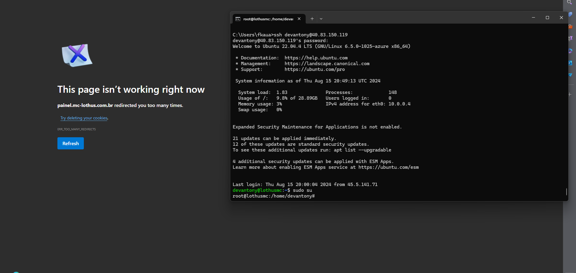 My dashboard has been disabled - Pterodactyl Installation Script