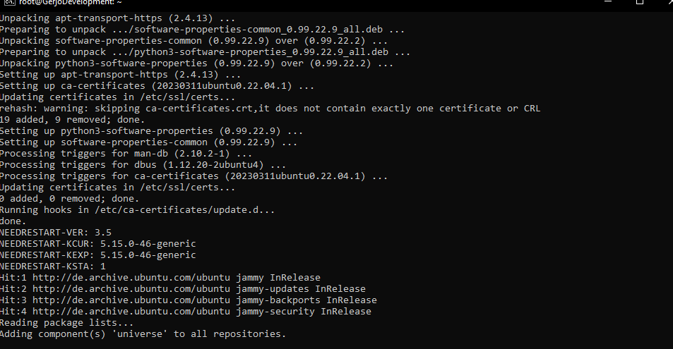 Idk how to solve that... - Pterodactyl Installation Script
