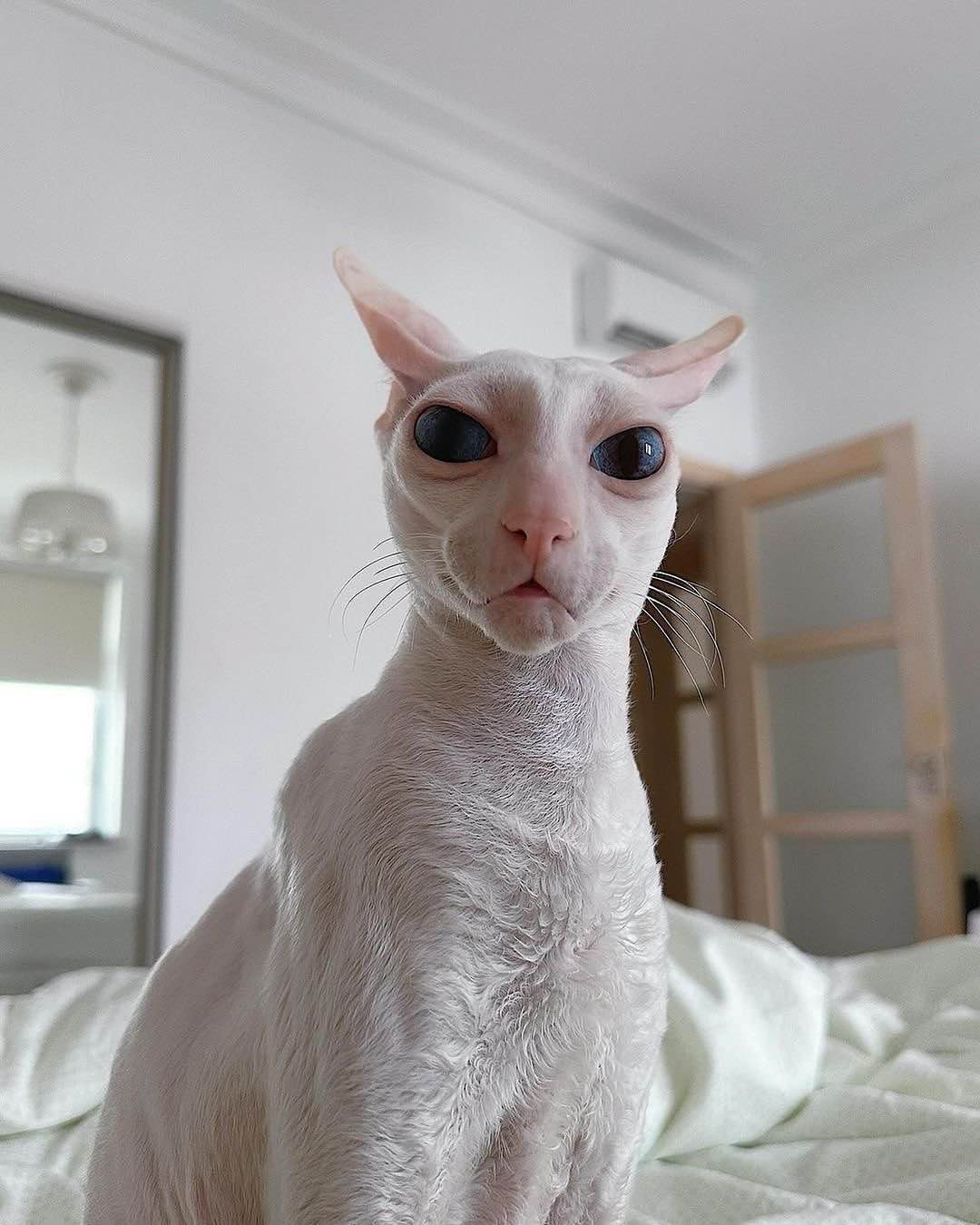 legsy needs a weakness - Sons Of | The Forest