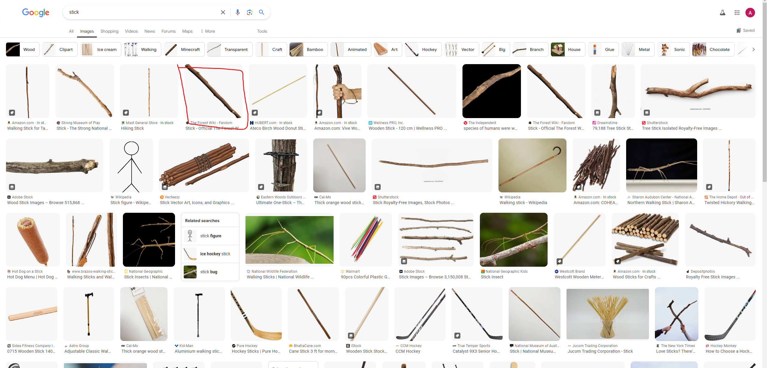 How is the forest stick more popular than minecraft stick - Sons Of ...