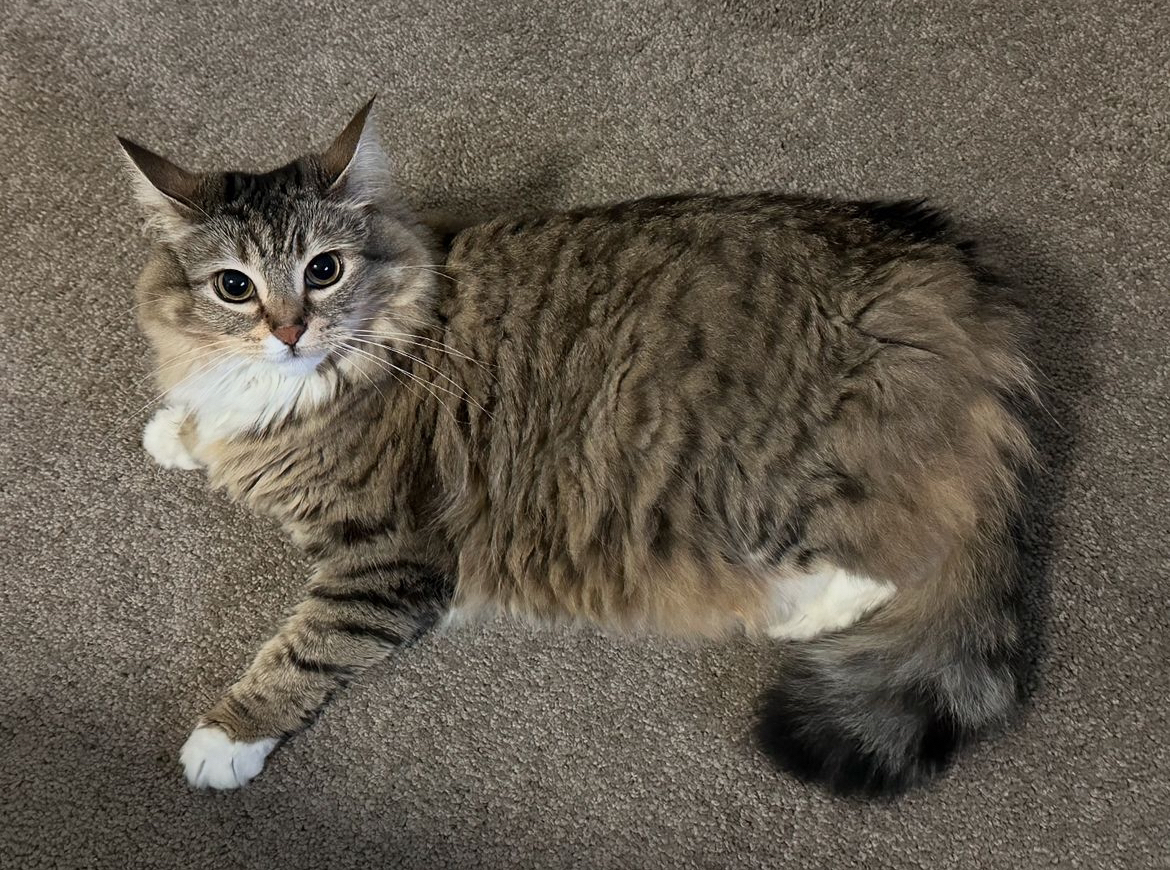 50 bucks for 3d printed slop - Sons Of | The Forest