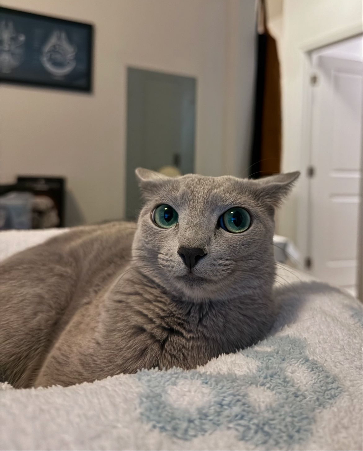 Imma be real - Sons Of | The Forest