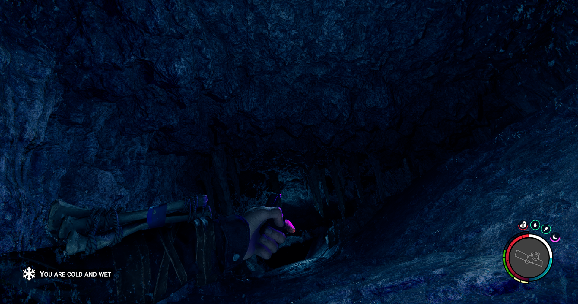 and start normal 😛 - Sons Of | The Forest