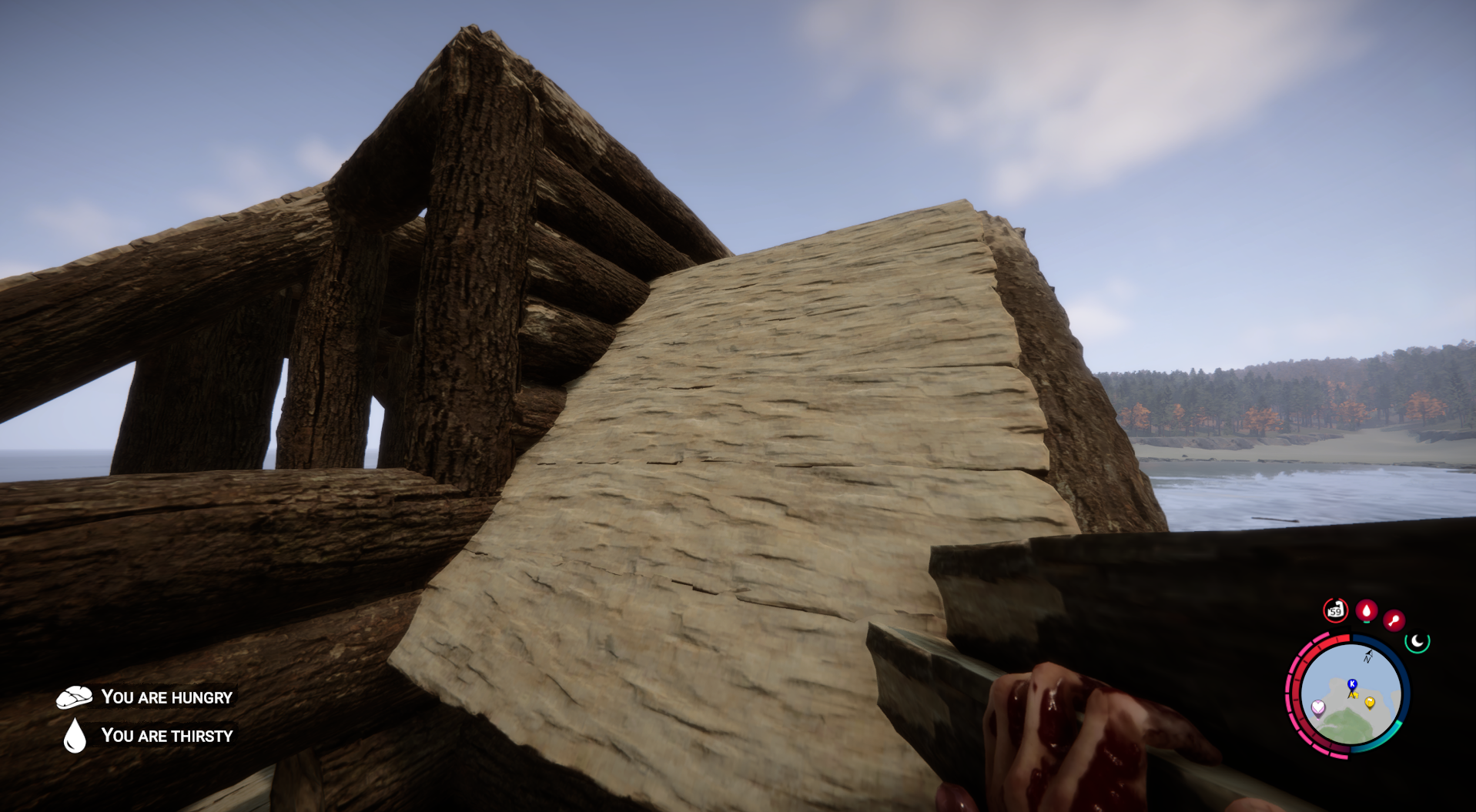 So I am back to roof boards on wrong way round. I built a pitched roof ...