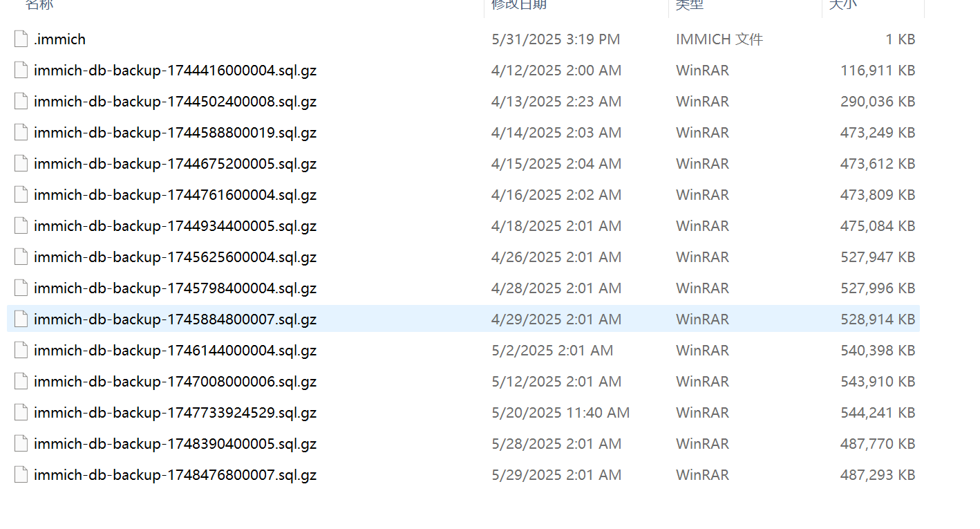 Corrupted migration after upgrading to 1.133.1 - Immich