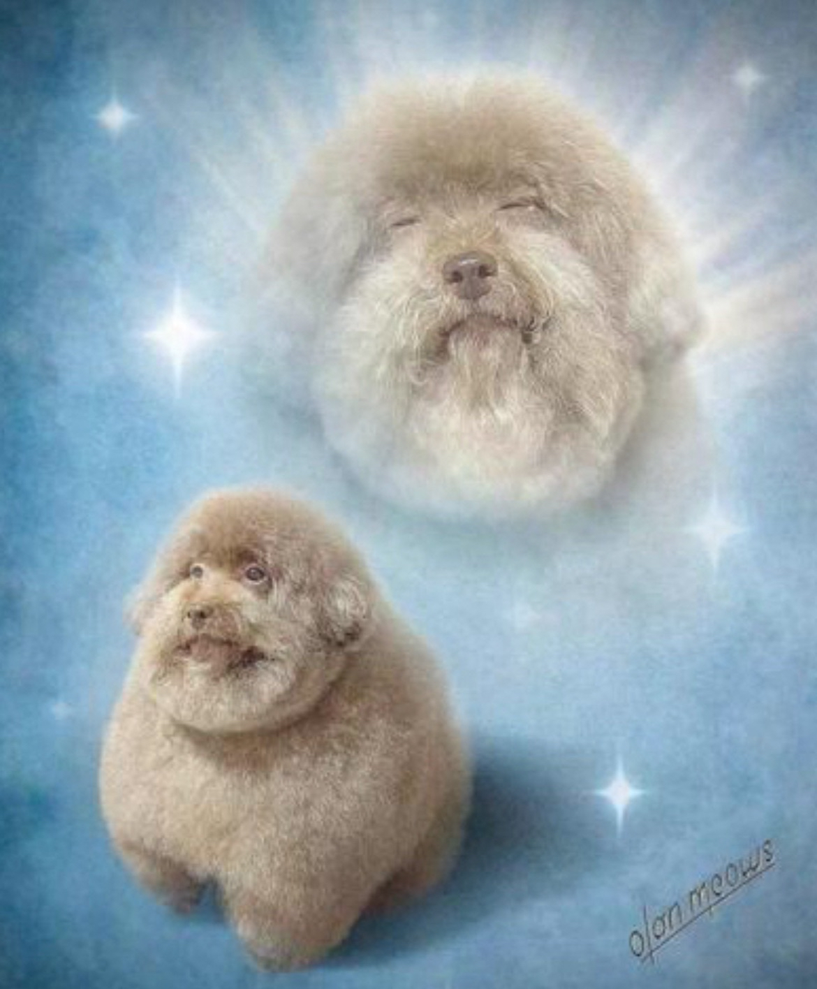 Someone js changed it to chicken dih lol - HarsizStudioz