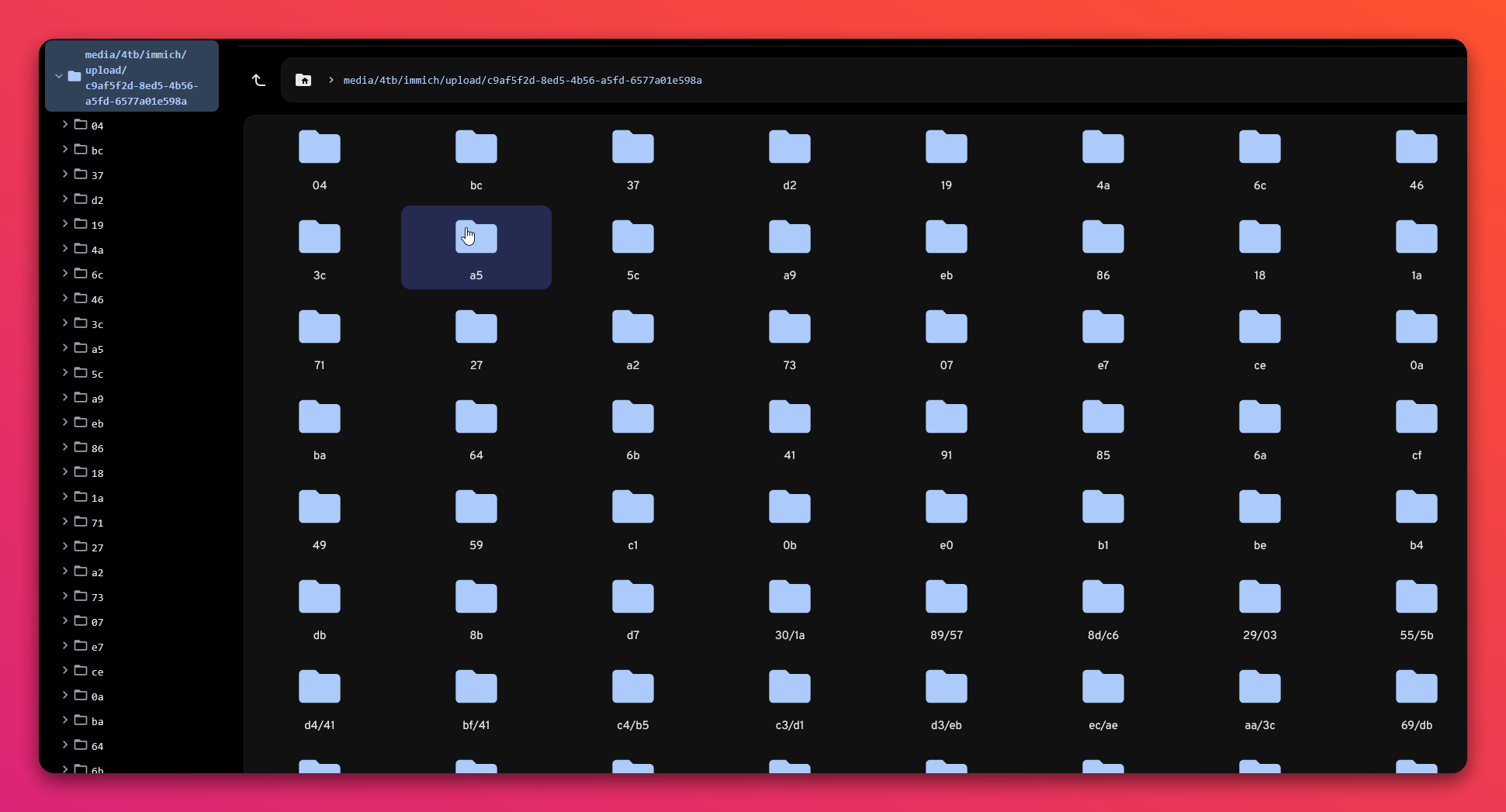 Folders view. Tons of randomly named folders and subfolders. - Immich