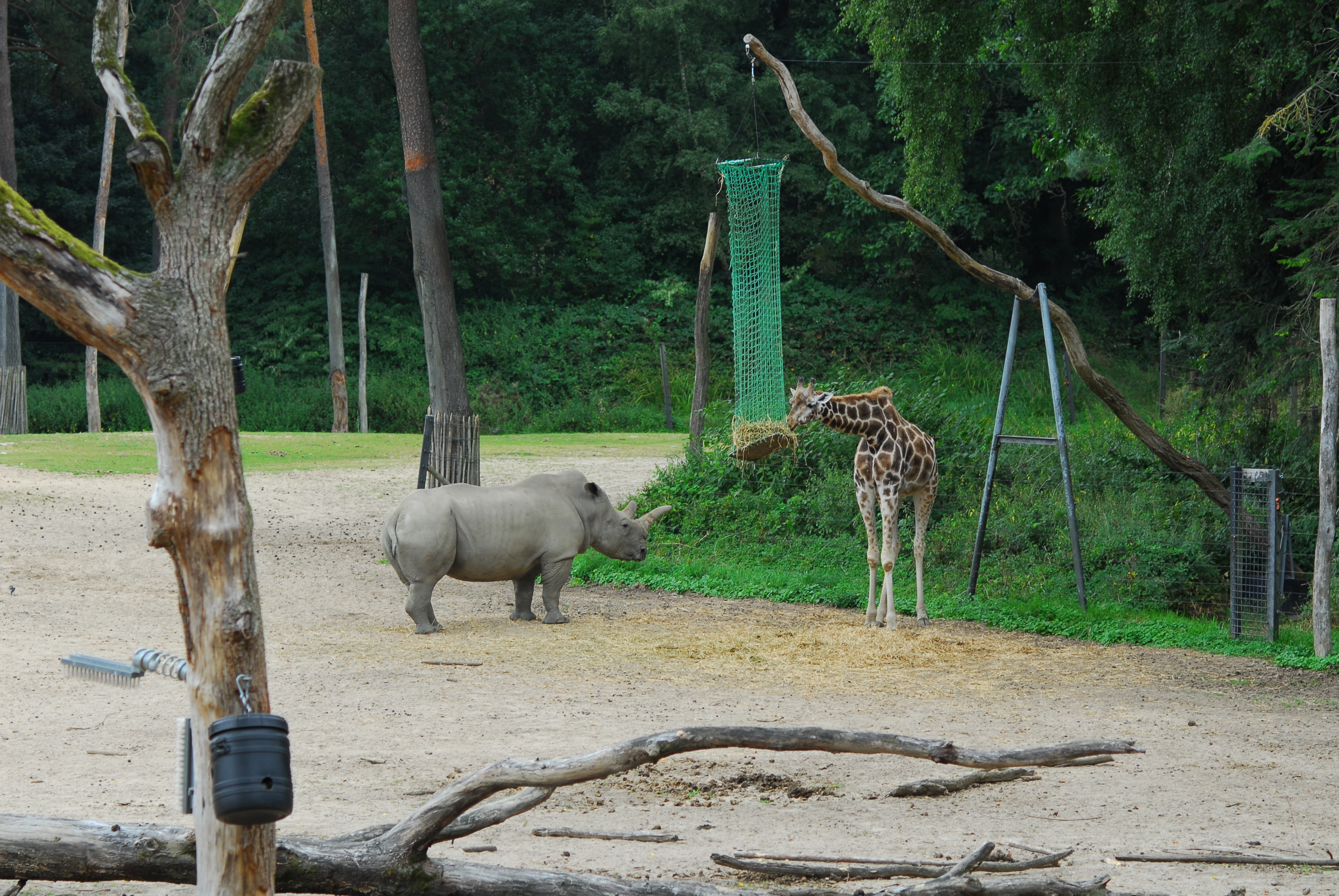 I see... with 'as buttons' enabled, it can act as 8 way (just untick ...