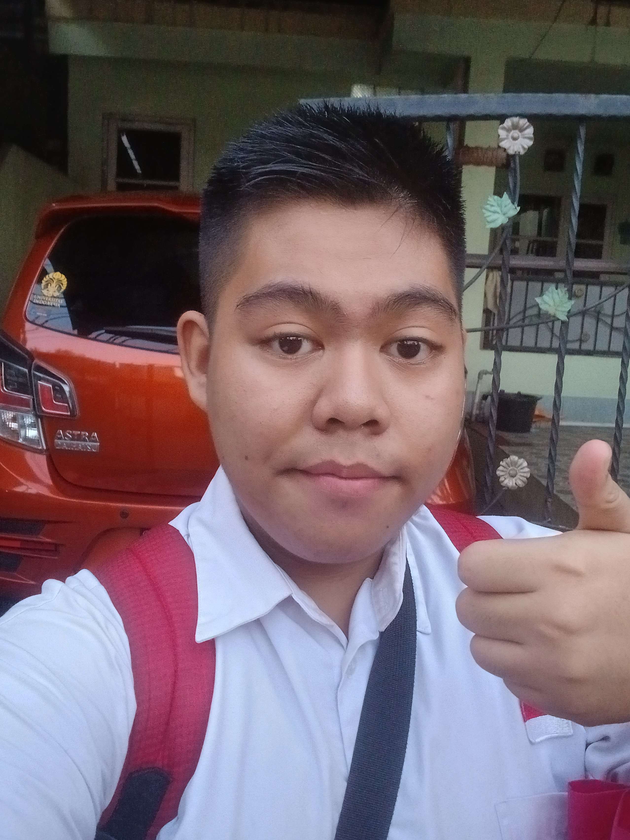 Play him with electro supports and em and crit - Altarian Federation