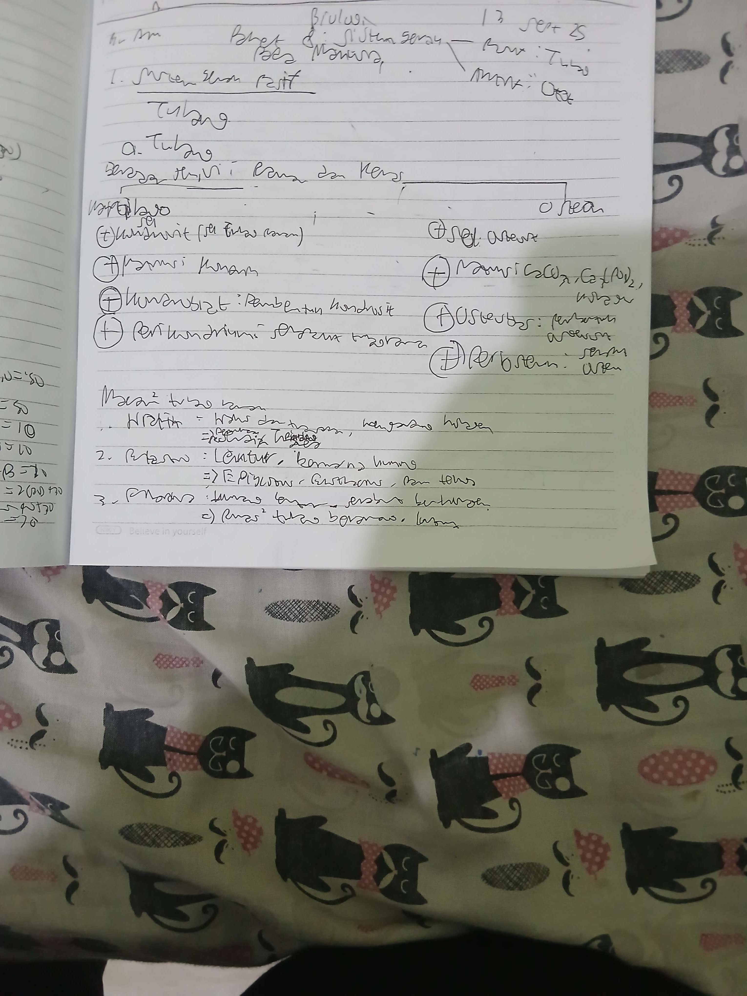 tbh yea - Altarian Federation