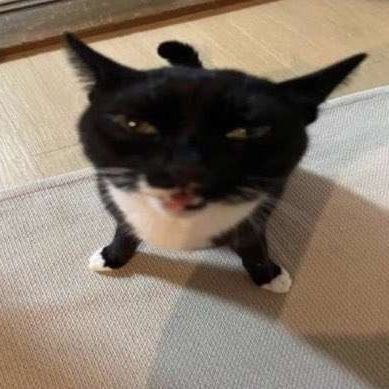 is there a second spring trap? - Sons Of | The Forest