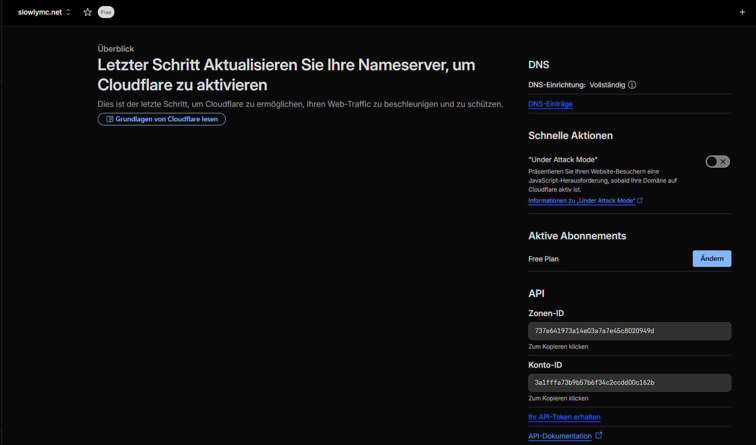 Nameserver Bug - Cloudflare Developers