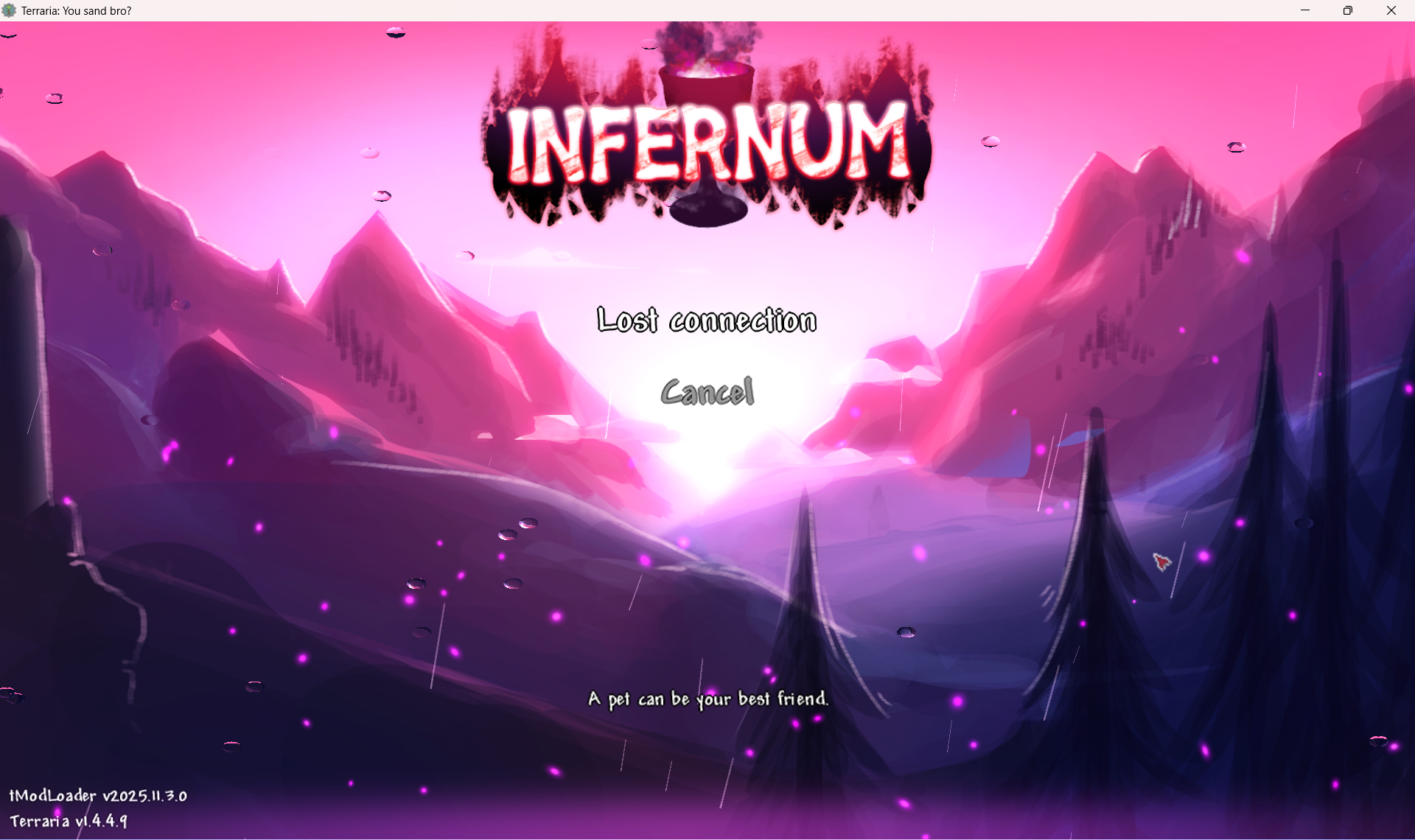 Cannot join my friend through modded multiplayer - tModLoader