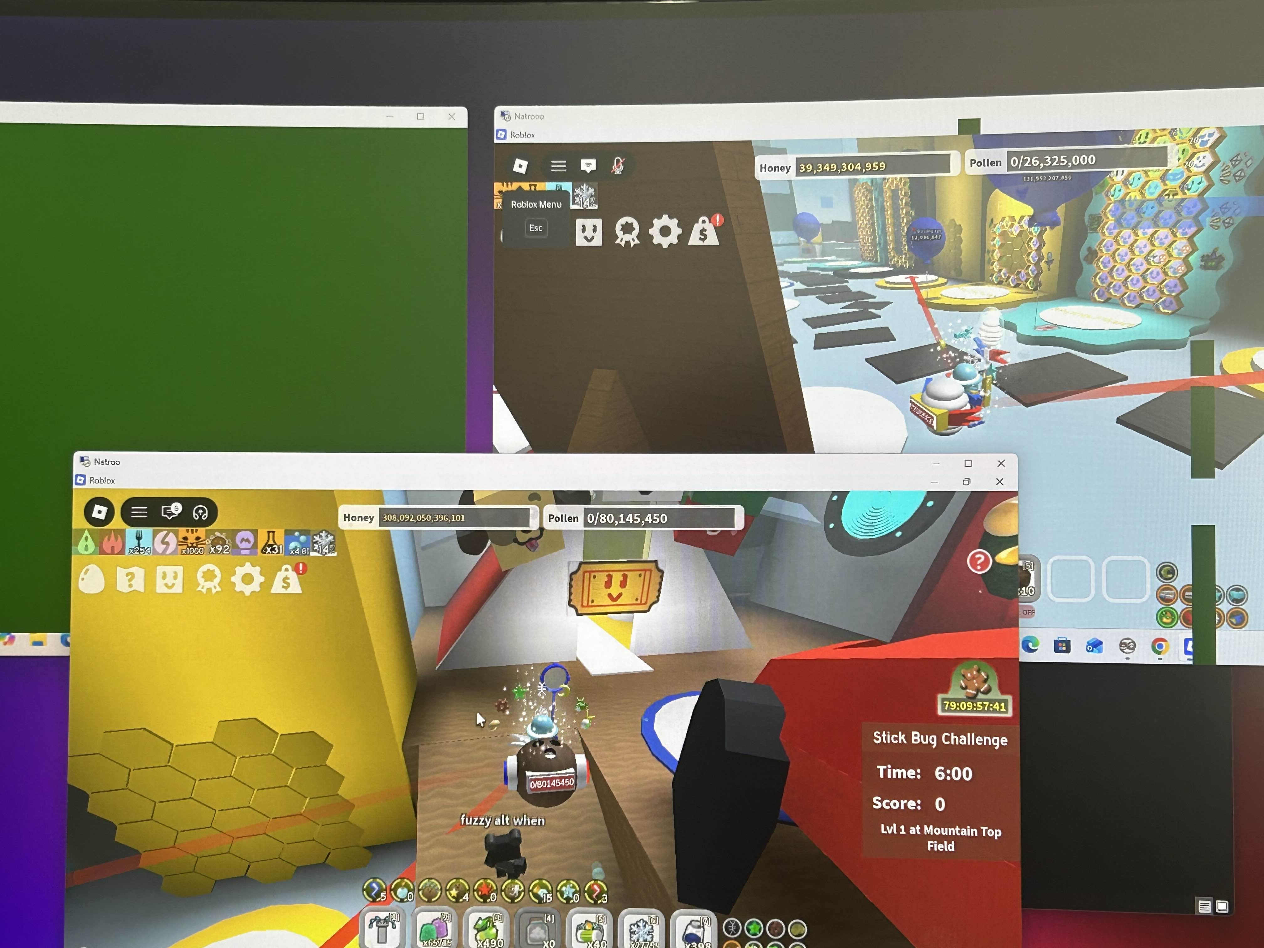 RDP's getting painted green. - Natro Macro