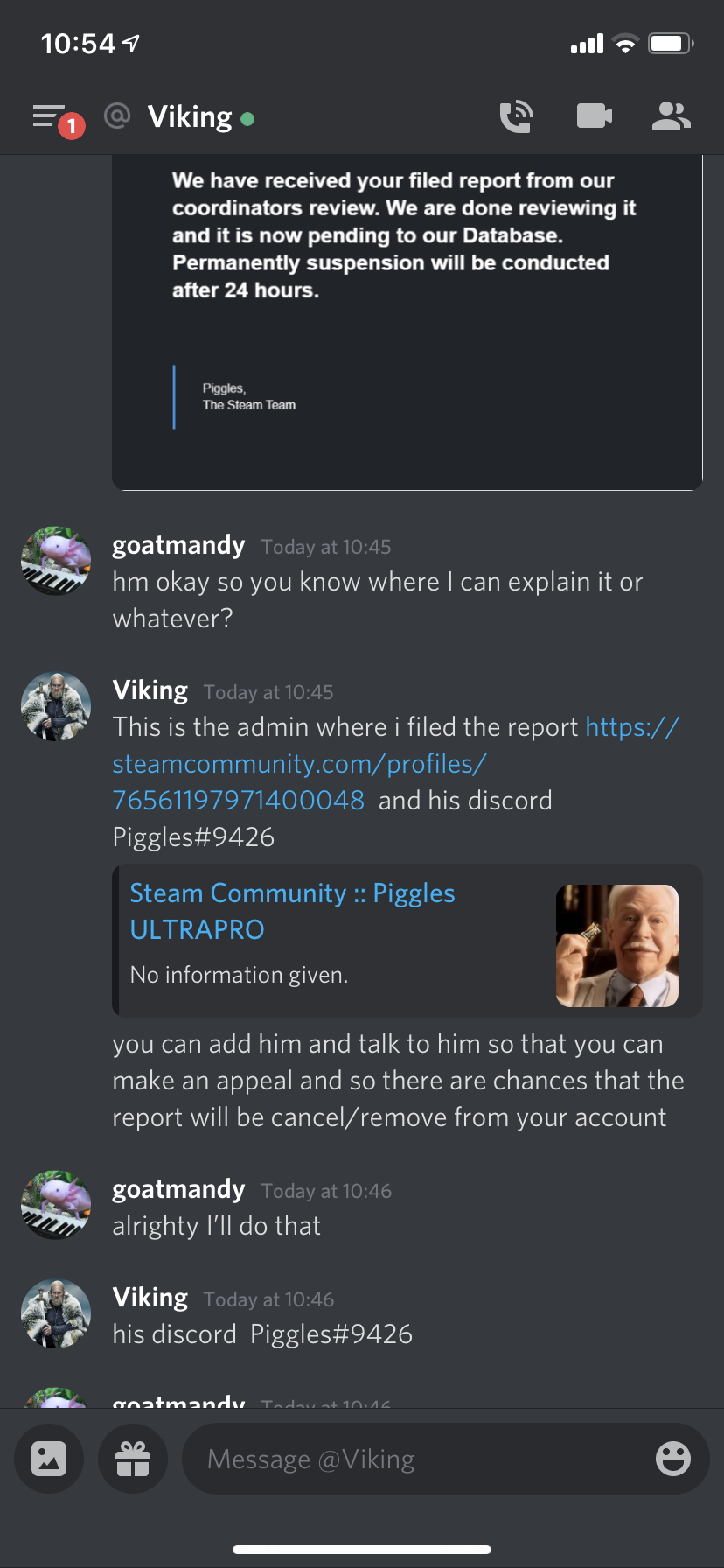 viking - Sons Of | The Forest