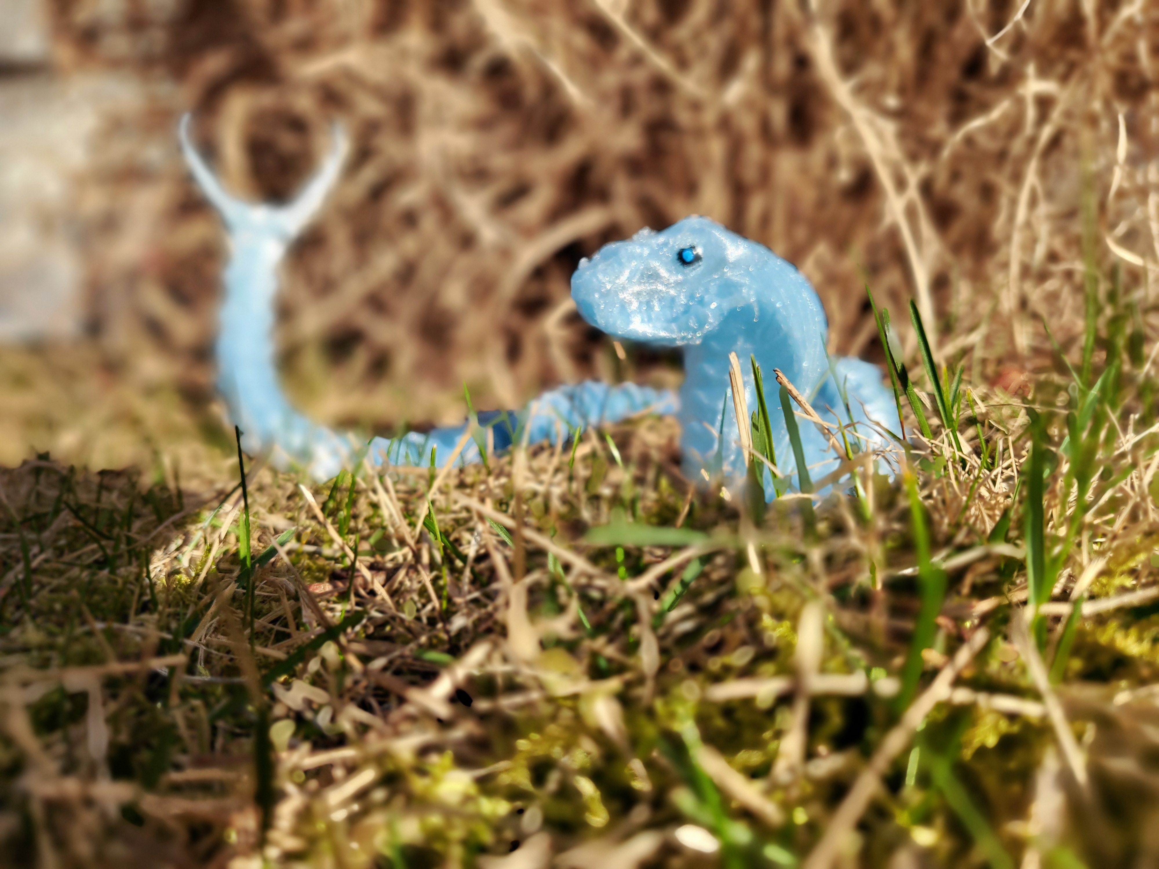 @Cookiecad Melissa will force nathan to include a octopus - Cookiecad