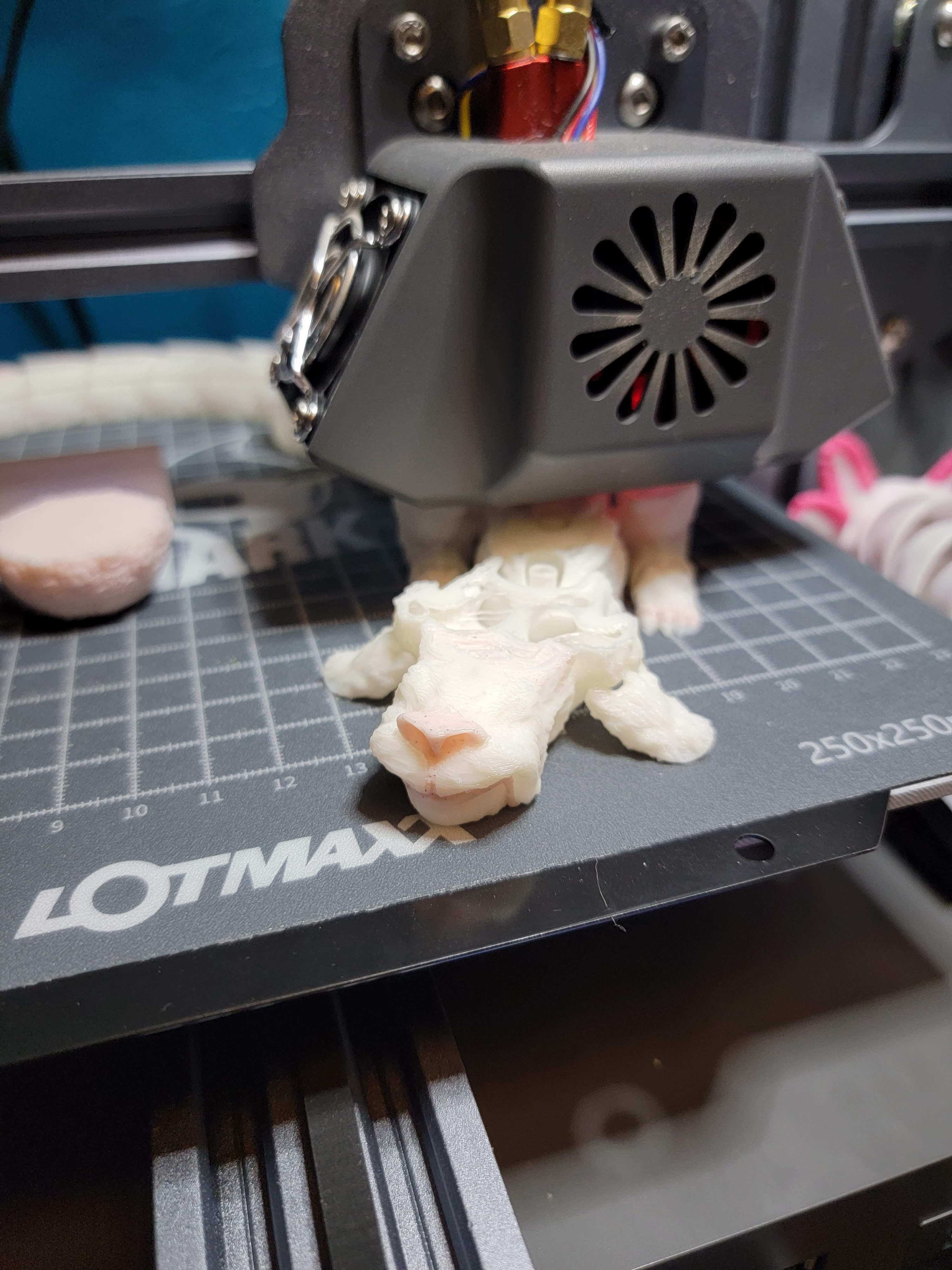 I’m having whole layer adhesion problems, does that mean it’s not hot ...